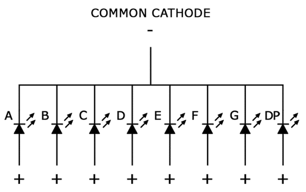 How To Set Up Seven Segment Displays On The Arduino Circuit Basics