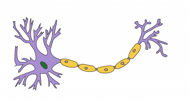 Neural Networks in Python: Perceptrons - Circuit Basics Neural Networks in Python: Perceptrons - Circuit Basics